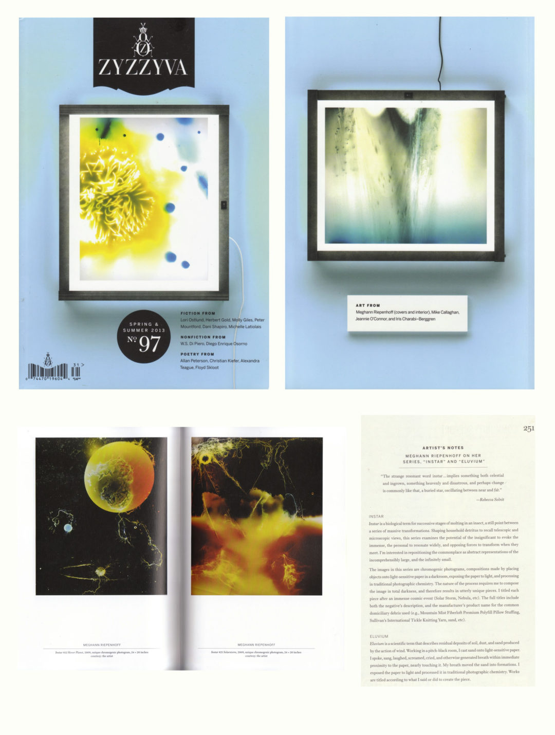 Zyzzyva Feature | Meghann Riepenhoff